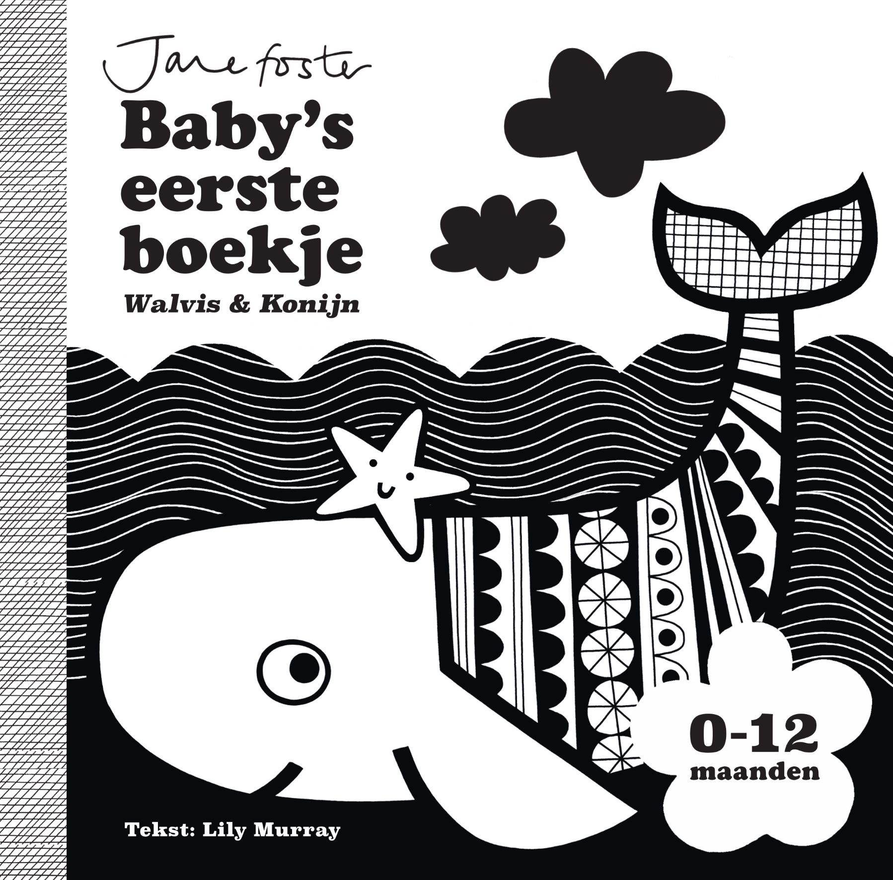 Baby's eerste boekje: Walvis & Konijn - Jane Foster - Kinderboeken.nl